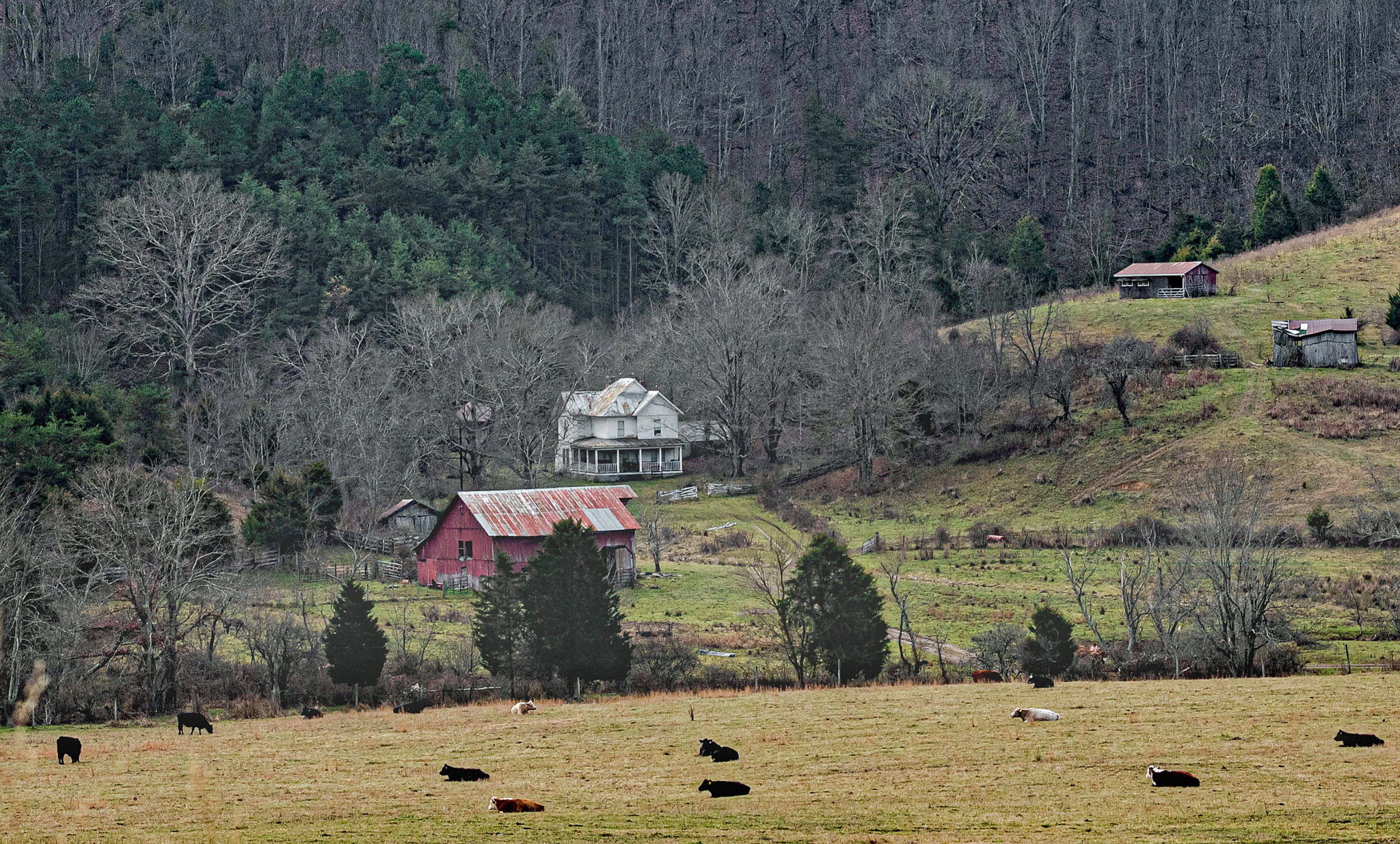 One Hour Road Trip | DrivingBackRoads.com