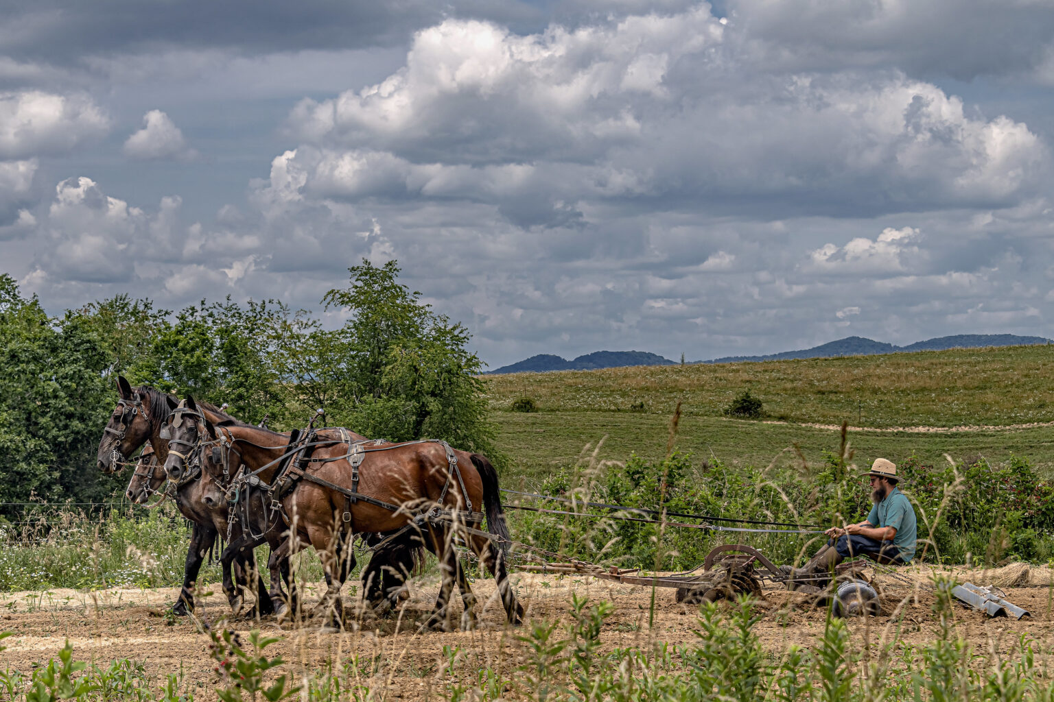 DrivingBackRoads.com