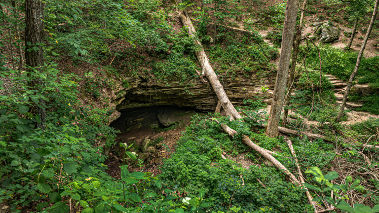 DrivingBackRoads.comDrivingBackRoads.com | Photography in Unexpected Places